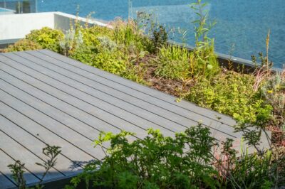 Consejos para limpiar manchas de un deck wpc - Lifecycle Uruguay